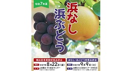「横浜夏季果樹持寄品評会」および「浜なし・浜ぶどう持寄品評会」開催のお知らせ
